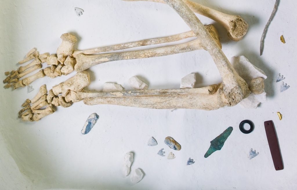 Archer - Wessex Museums