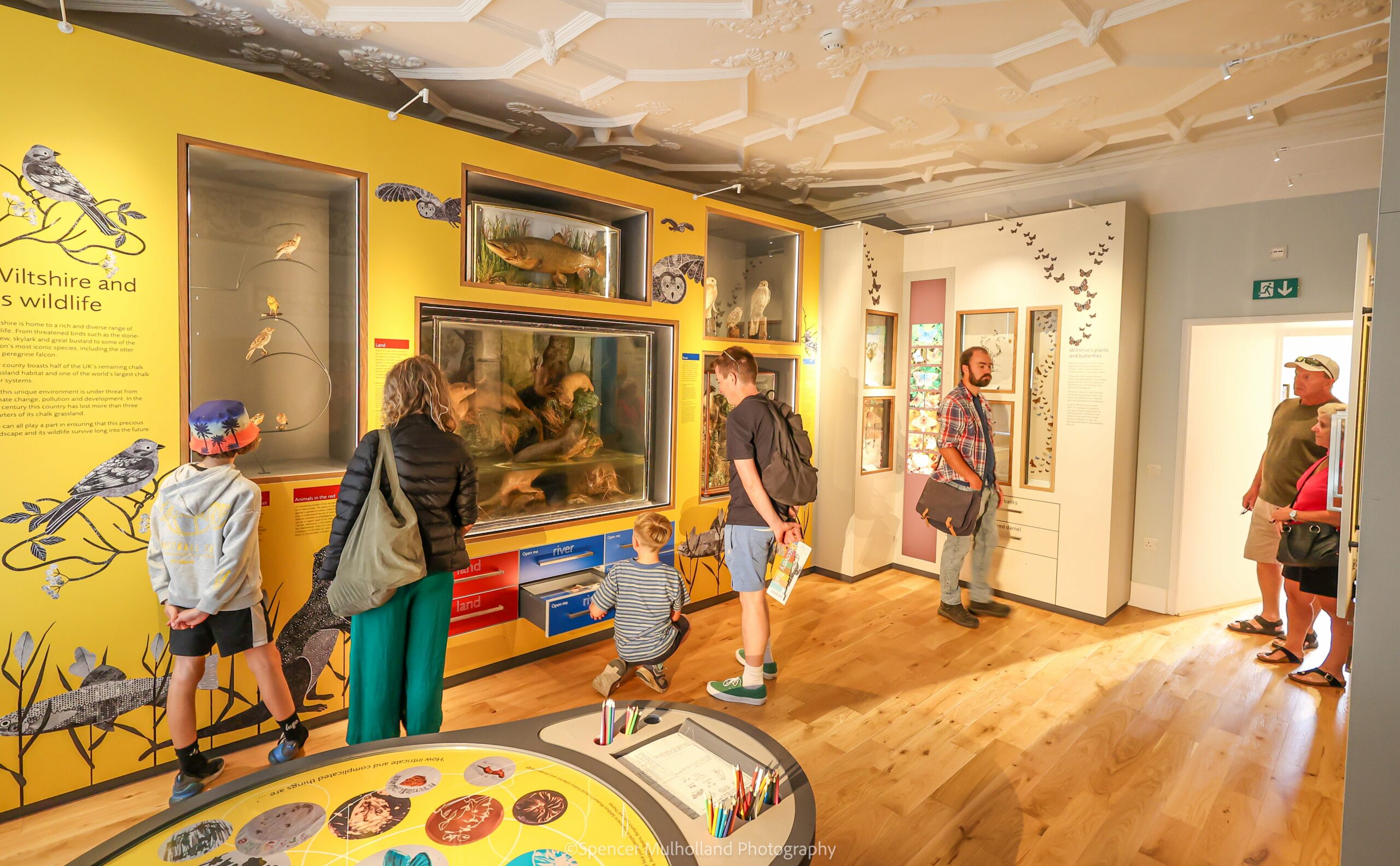 The Salisbury Museum unveils three new galleries - Wessex Museums